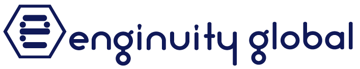 Projects - Enginuity Global